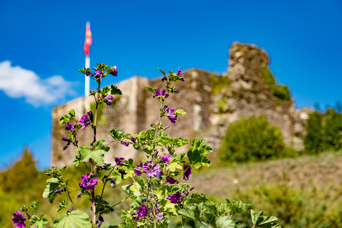 Le Château d'Épinal | Épinal Tourisme