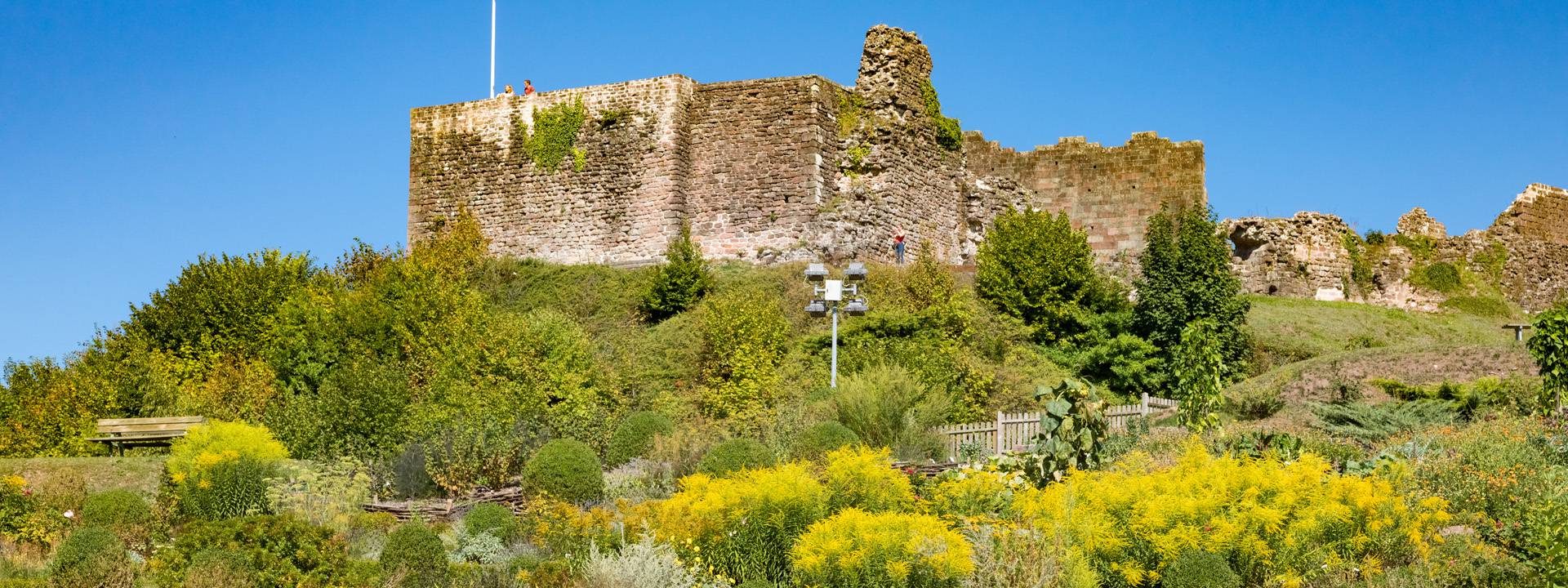 Épinal Tourisme | Cœur des Vosges